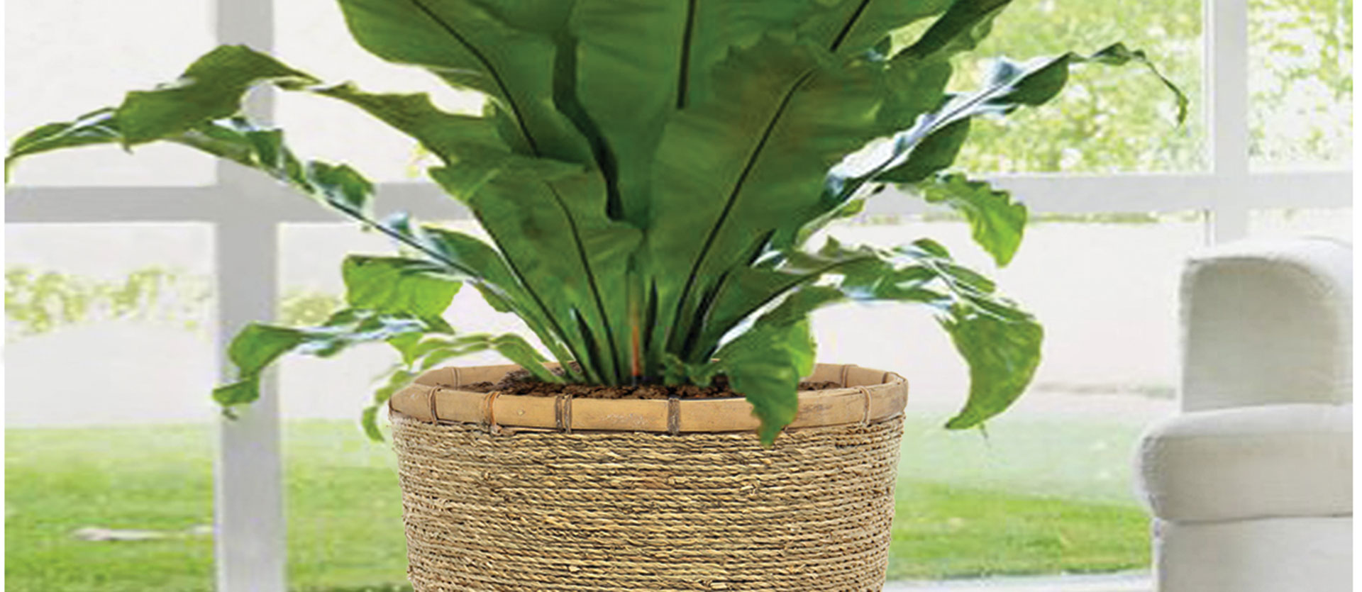 Anco VietNam - Planter, Furniture, Accessories, Pottery.