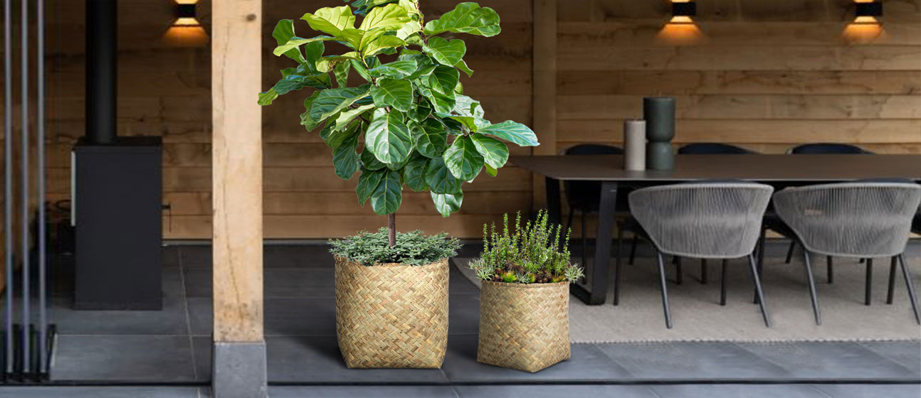 Anco VietNam - Planter, Furniture, Accessories, Pottery.