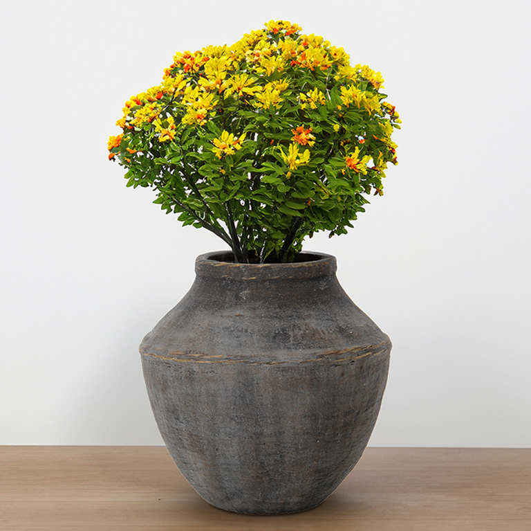 Anco VietNam - Planter, Furniture, Accessories, Pottery.