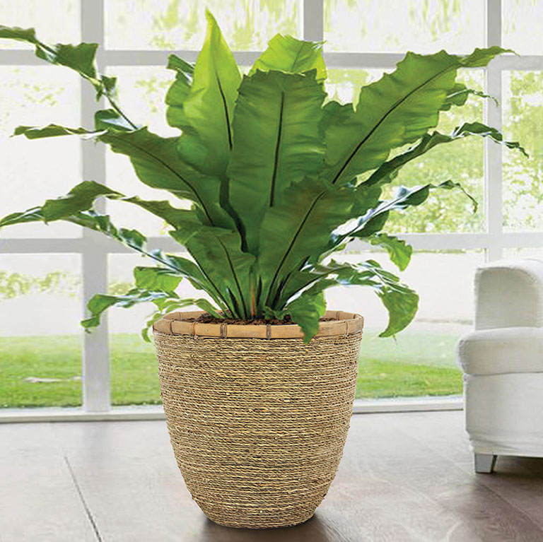 Anco VietNam - Planter, Furniture, Accessories, Pottery.